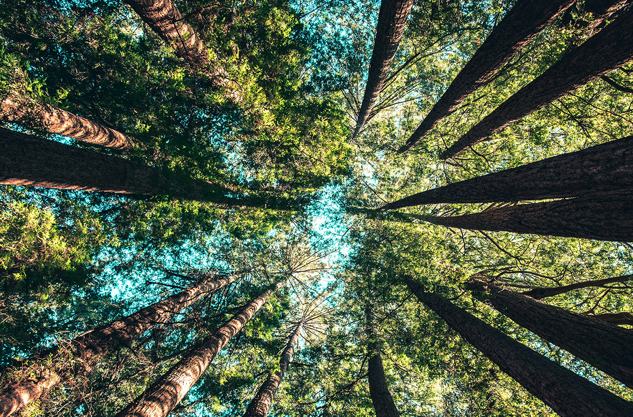 SBTとは？認定基準や認定取得のメリットを解説- PATCH THE WORLD（パッチ・ザ・ワールド）