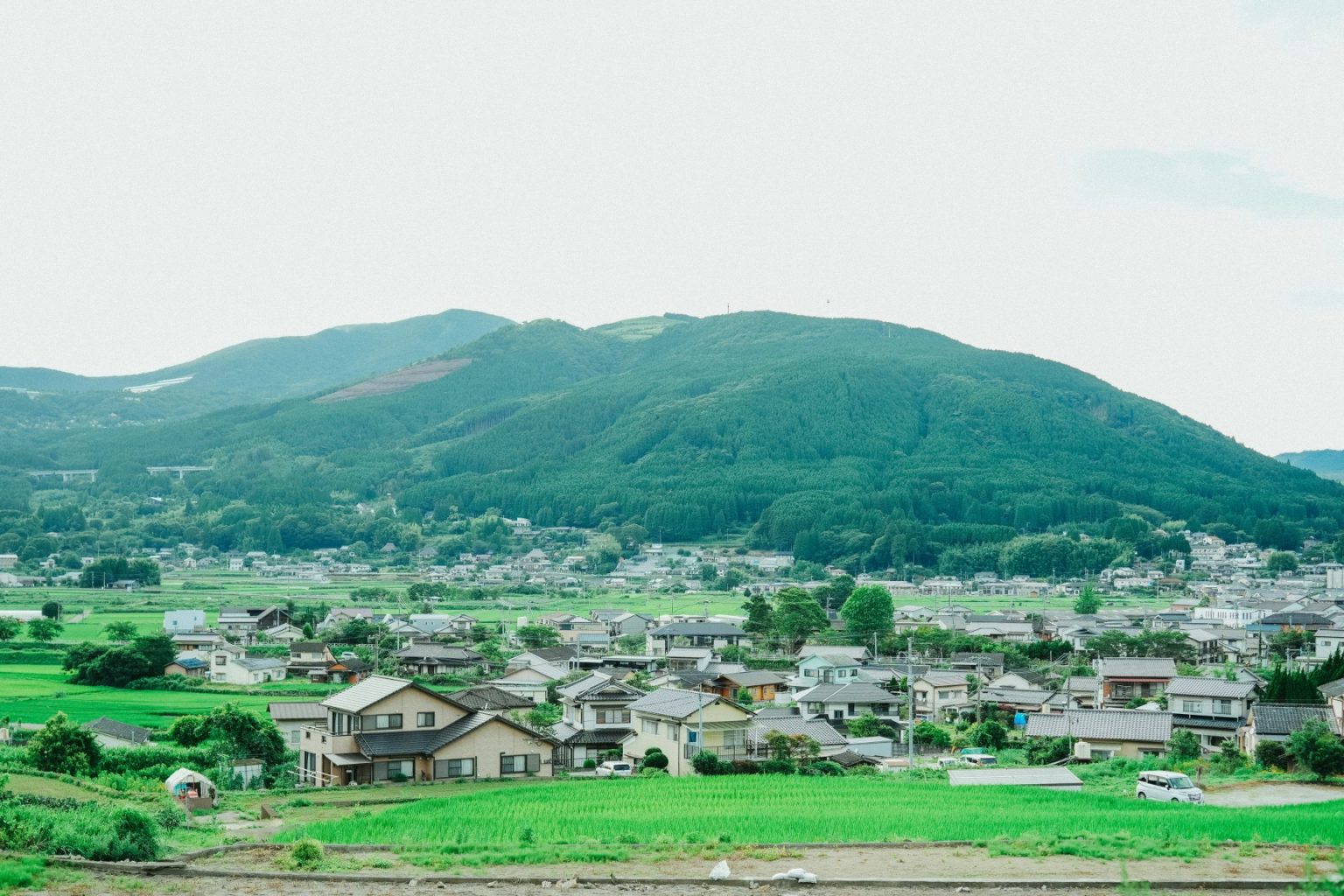 里山資本主義とは？お金だけに依存しない持続可能な社会の実現を目指す - PATCH THE WORLD