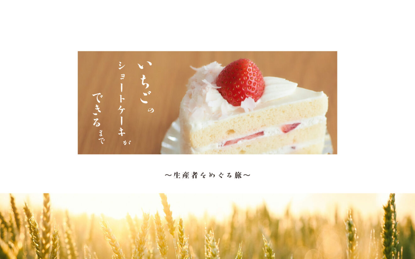 アーシングとは？定義や注目される背景、具体的な方法などを紹介 - PATCH THE WORLD（パッチ・ザ・ワールド）